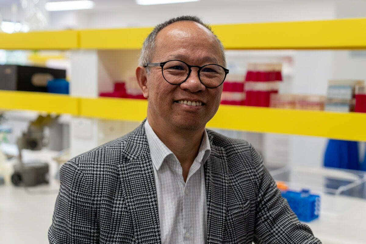 WA scientists discover a new set of cells that control the blood-brain ...